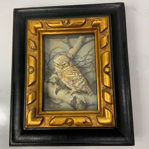 Vintage | Art | Vintage 7sbasil Ede Owl 3dframed Shadowbox | Poshmark